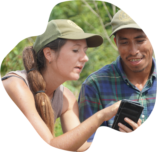 Open Forest Protocol | Transparent, data-backed carbon credits